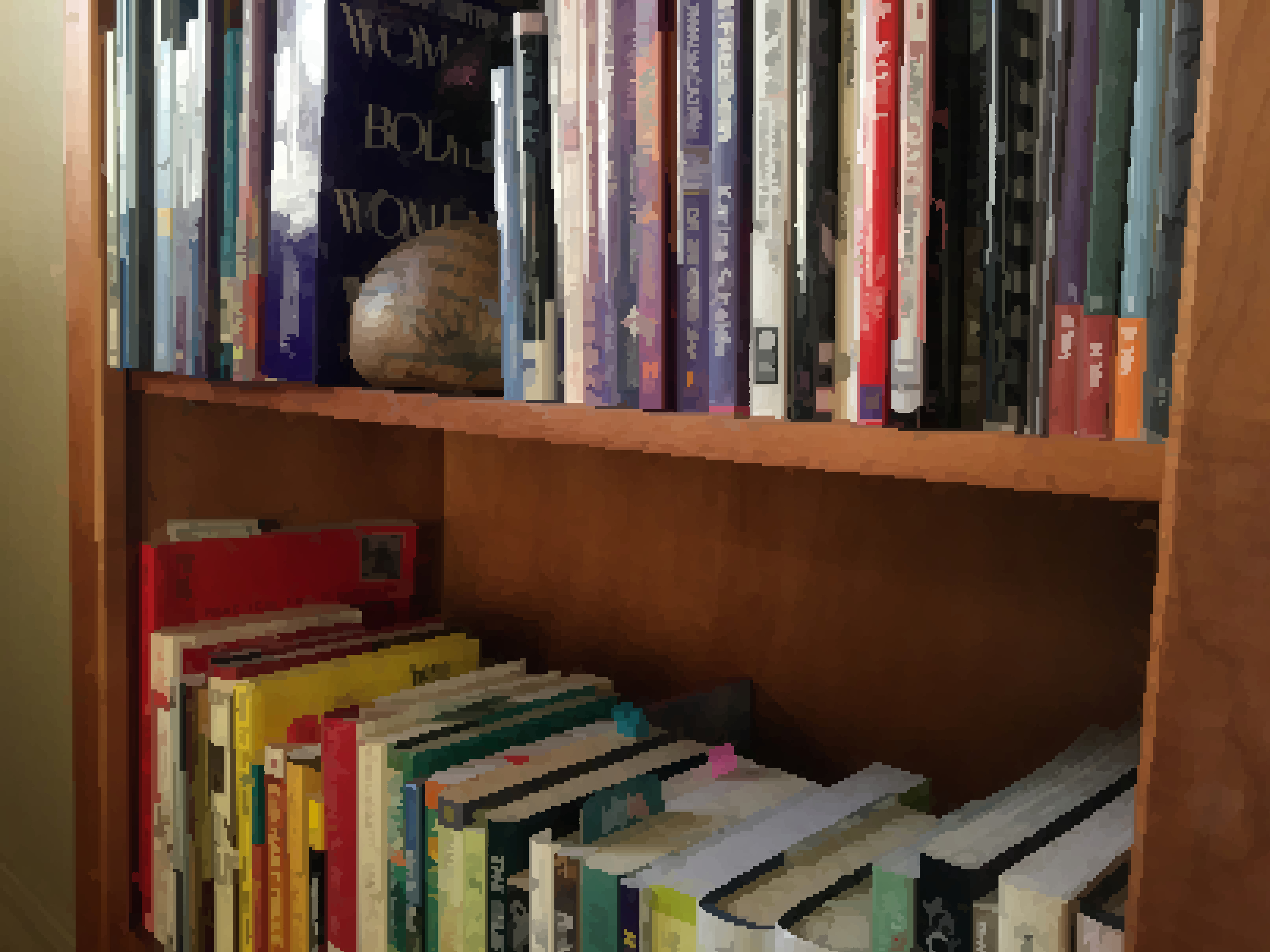 recommended-reading-shelf | Sparks of Healing